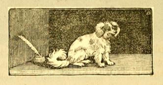 Domestic Dogs - Discover Lewis & Clark
